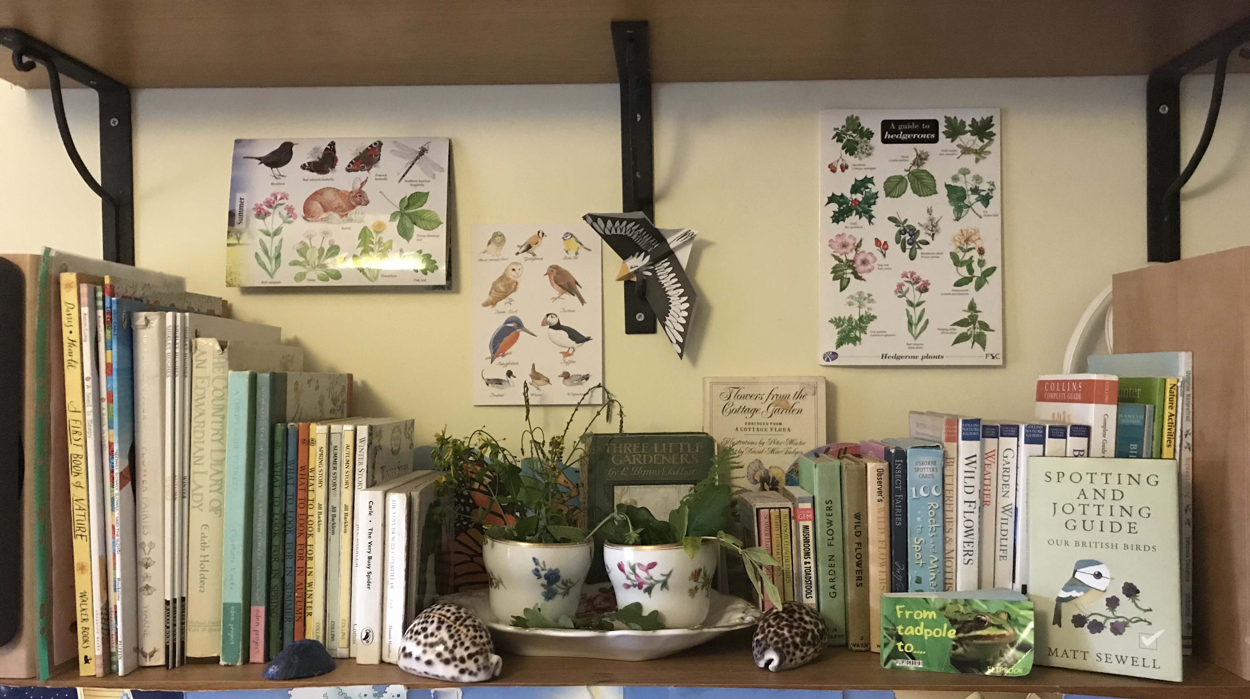 Nature study resources – June 2020 – Mothering through the seasons